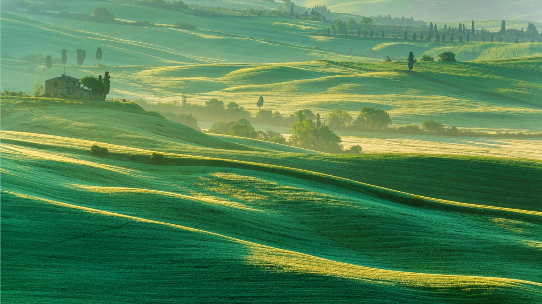 Issue 3｜Carbon Cipher · Carbon Neutral Information Bulletin | News | Carbon Cipher Co., Ltd.